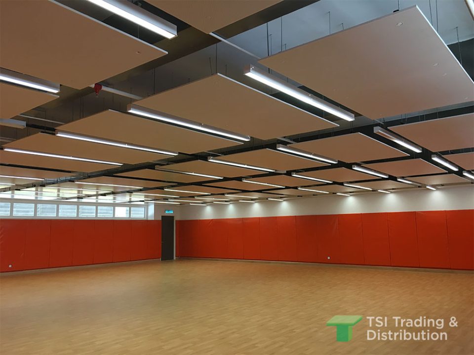 Education and School Ceiling Solutions | TSI Trading